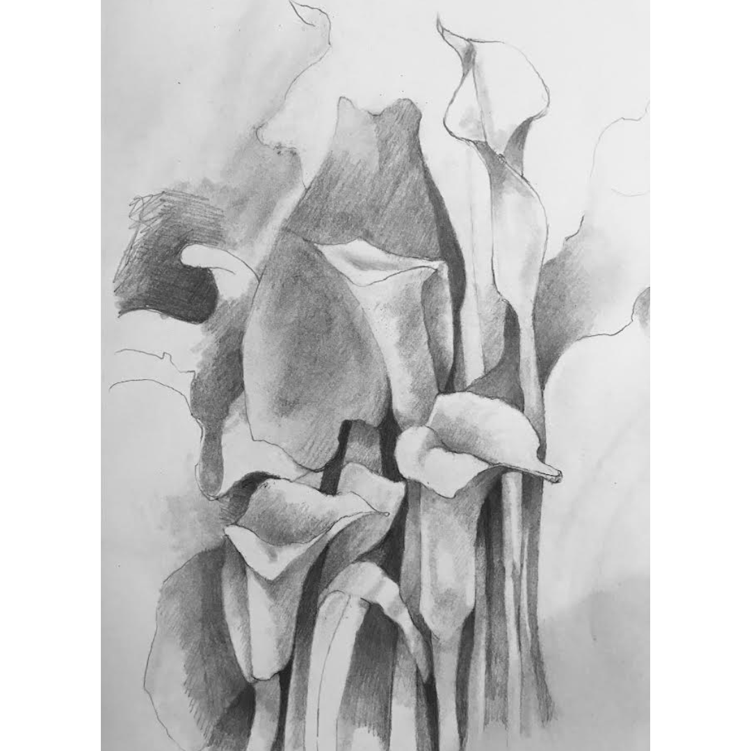 Introduction to Drawing with Pencil - BARN Catalog