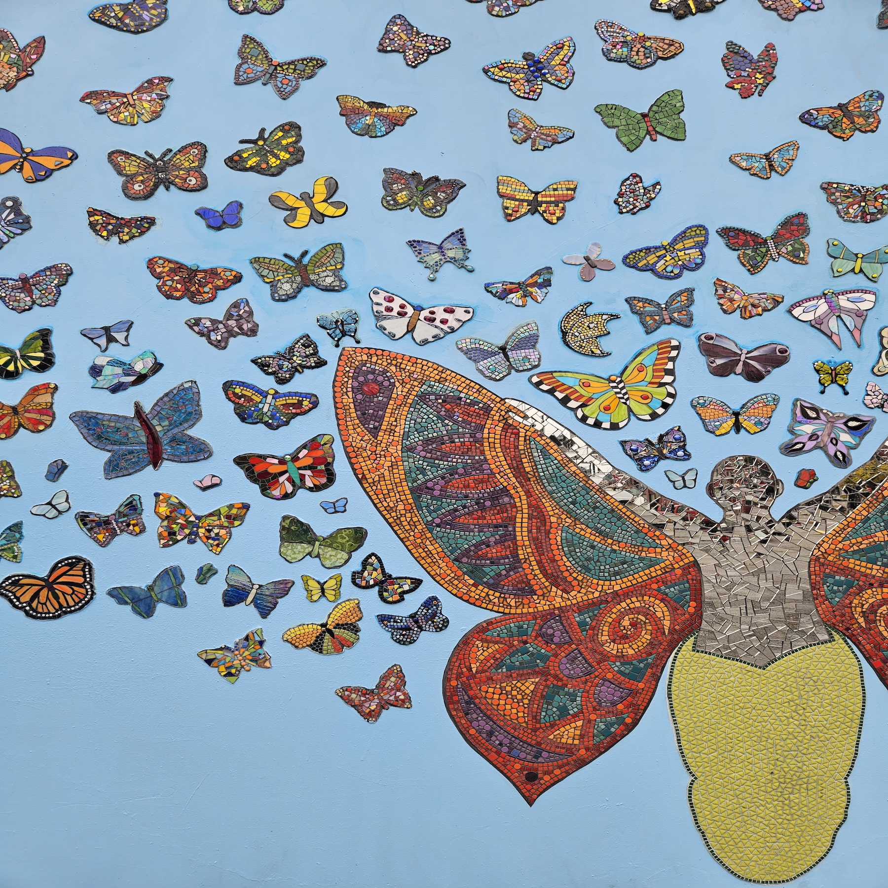 Meshing Around - BARN Catalog